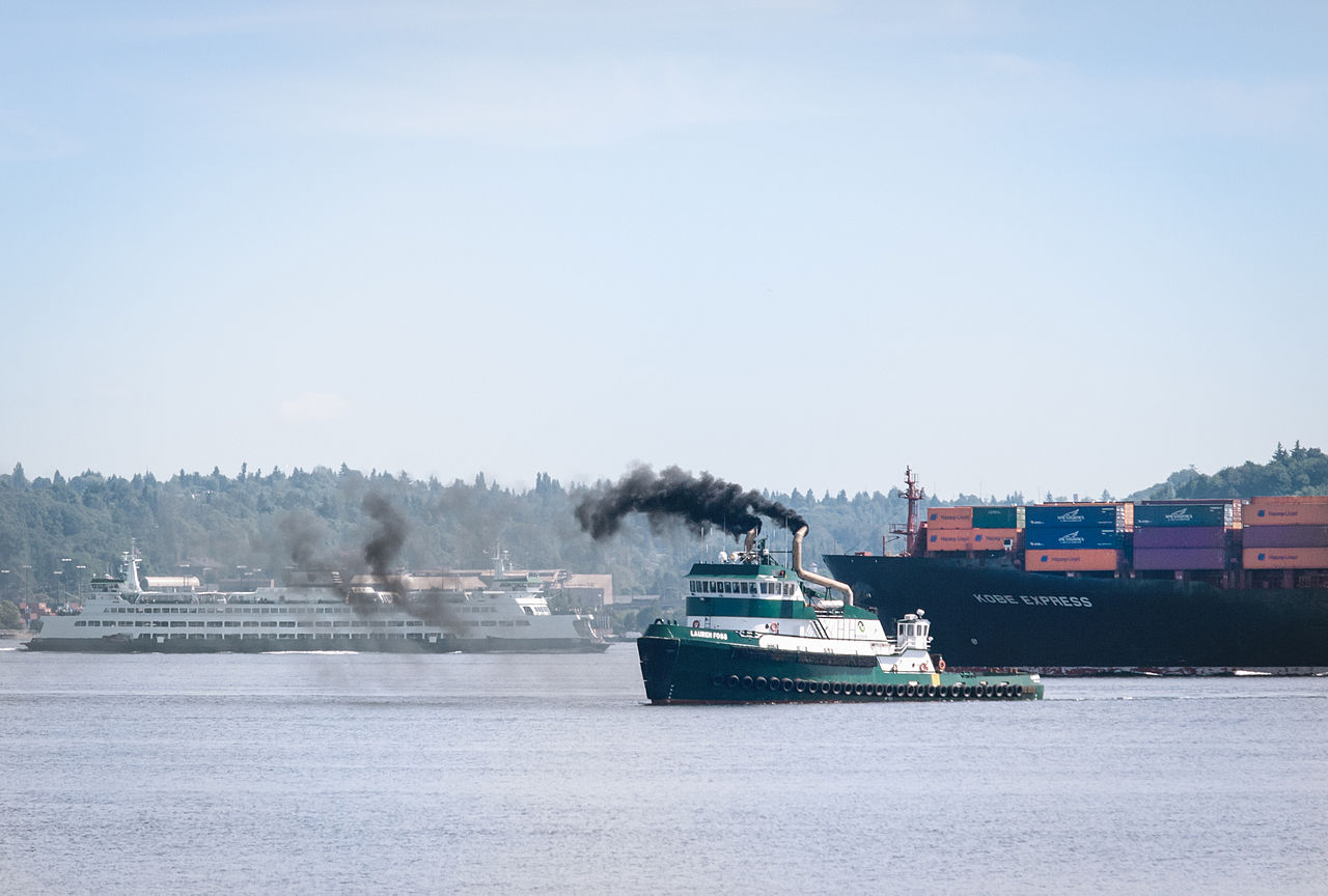 Ukraine says grain coming to Somalia, but Russia skeptical - LaPresse