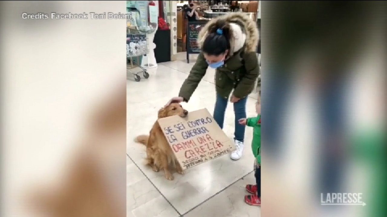 "Se sei contro la guerra, fammi una carezza": il flash mob di Bobby ...