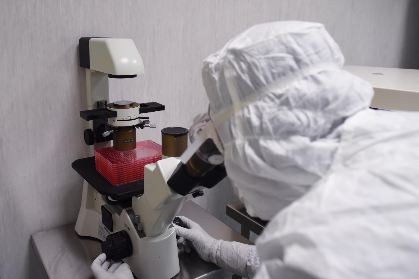Staminali Creati Embrioni Umani Sintetici Lapresse 