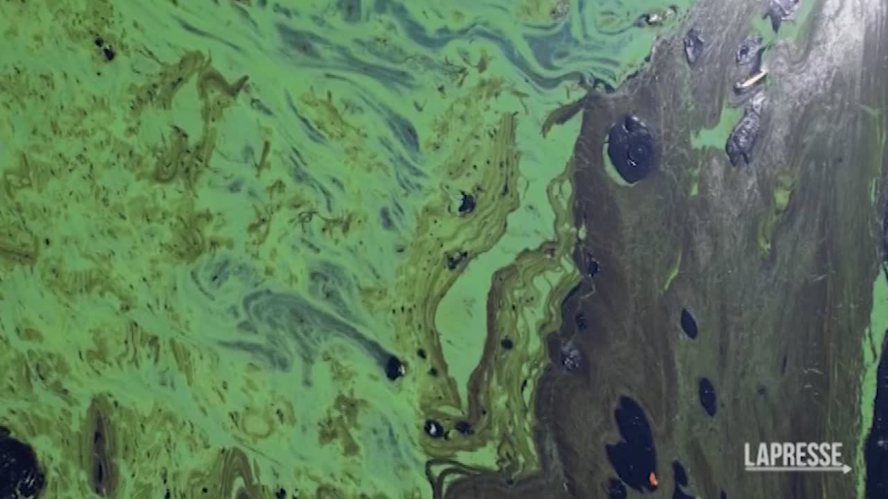 Venezuela, petrolio e alghe tossiche nel lago Maracaibo - LaPresse
