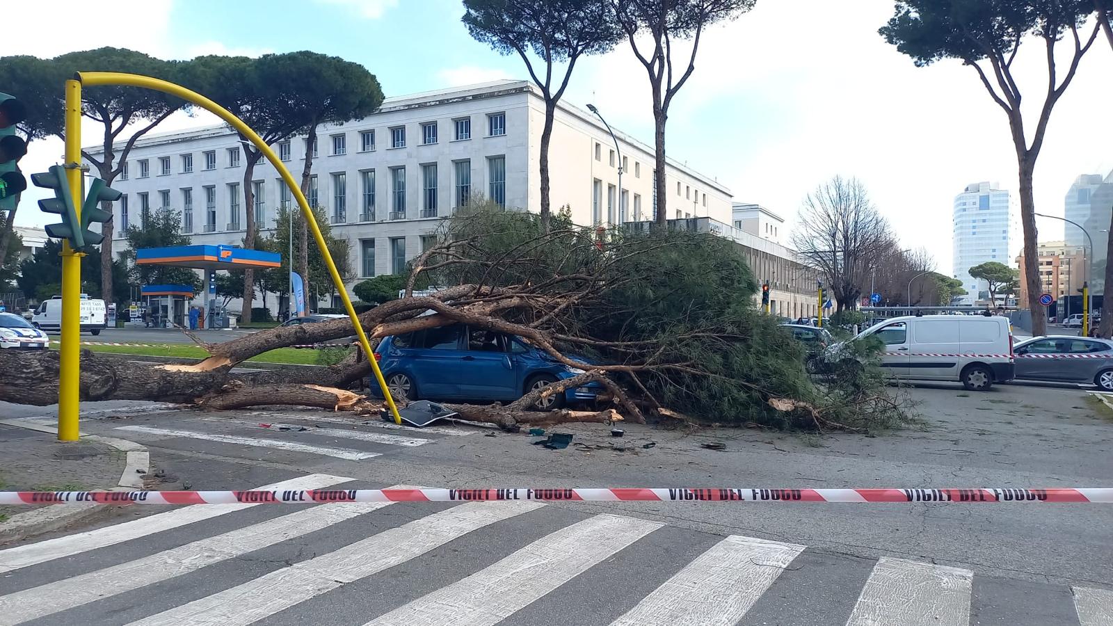 Roma, albero cade su auto: un ferito all'Eur - LaPresse Roma, albero cade su auto: un ferito all'Eur - LaPresse