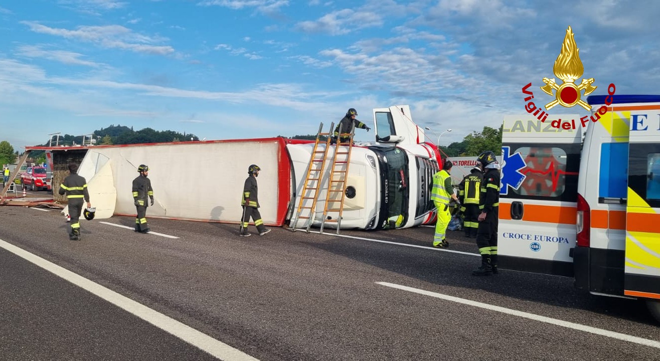 Si ribalta camion carico di bestiame in A4, morti animali e due autisti ... Si ribalta camion carico di bestiame in A4, morti animali e due autisti ...