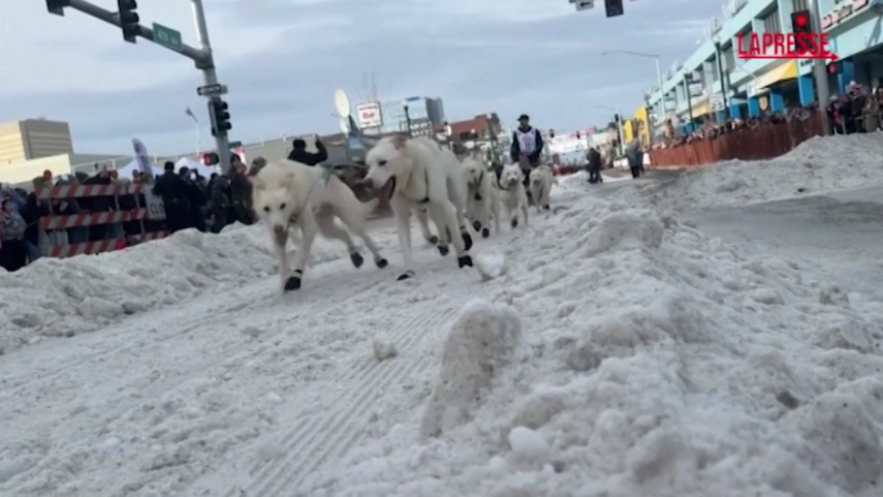 VIDEO La gara di slitte trainate da cani più famosa del mondo inizia in ...